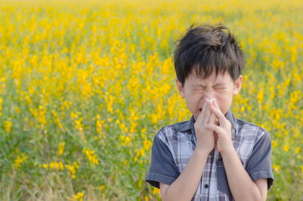 Top 5 Tree Pollen Allergy Symptoms in Las Vegas - Tottori Allergy