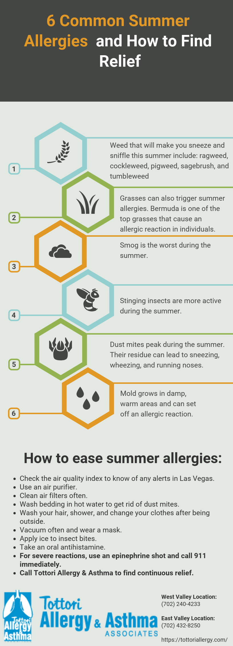6 Common Summer Allergies and How to Find Relief | Tottori Allergy ...