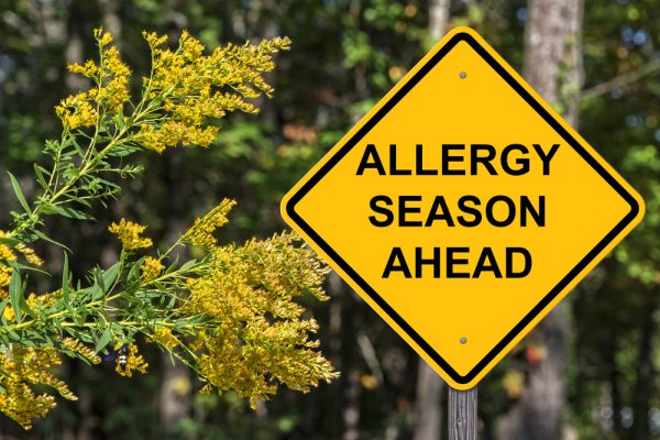 Top 5 Tree Pollen Allergy Symptoms in Las Vegas - Tottori Allergy