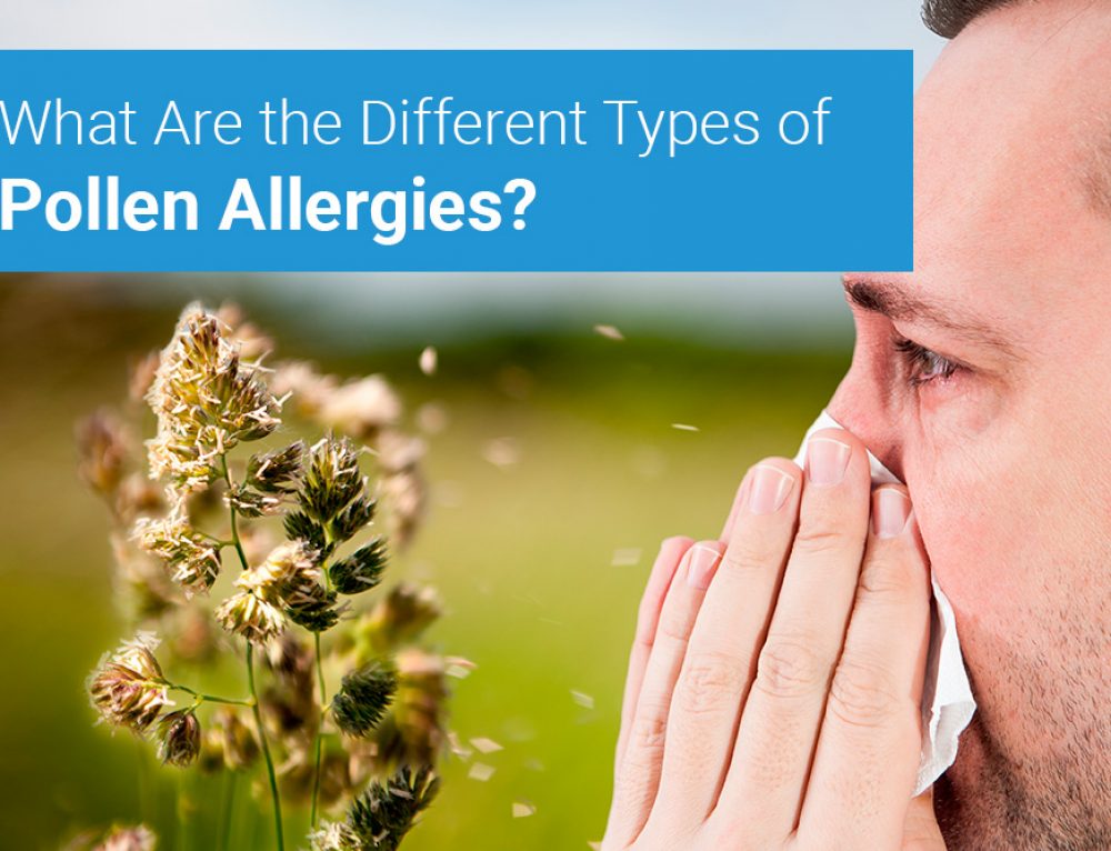 Infographic - Common Types of Allergies in Dogs - Tottori Allergy ...