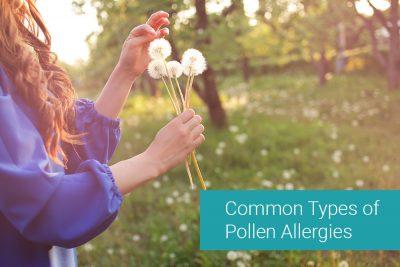 What Are the Different Types of Pollen Allergies? - Tottori Allergy ...