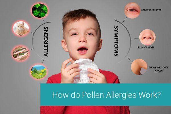 What Are the Different Types of Pollen Allergies? - Tottori Allergy ...